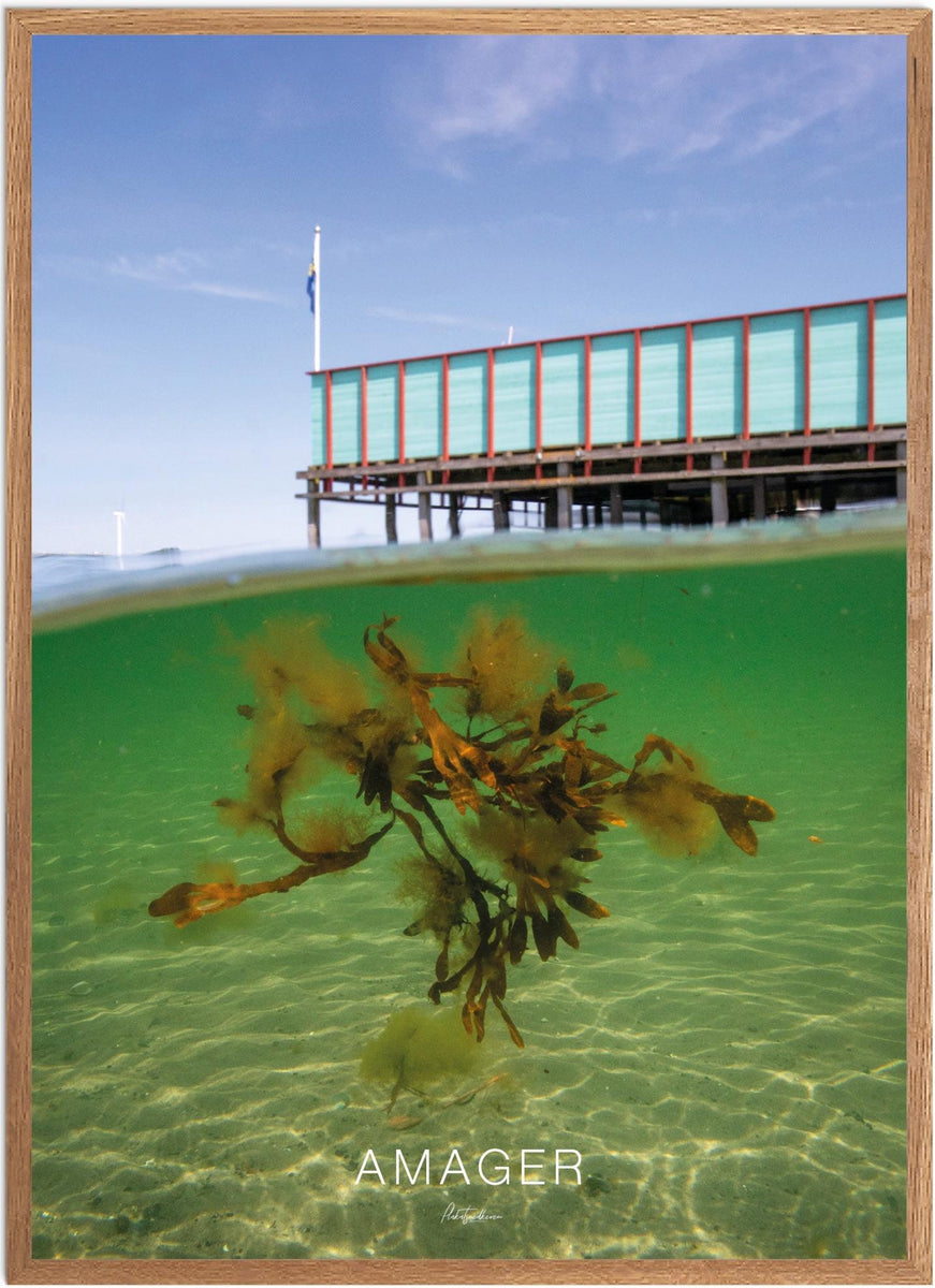 Plakat Amager Strand— Plakatsnedkeren