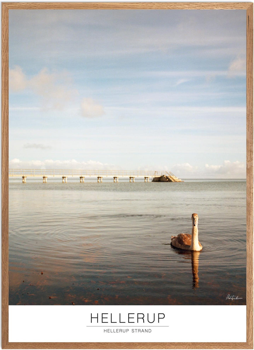 Plakat Hellerup Strand— Plakatsnedkeren